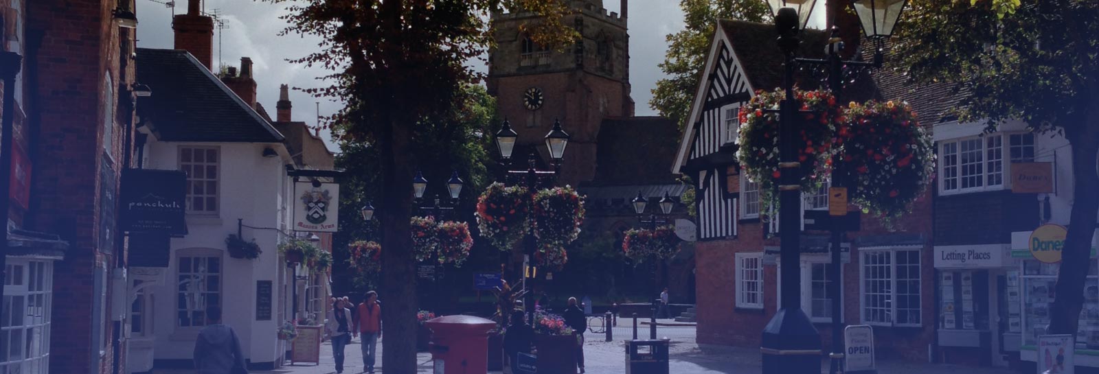 Cavan Vets - Koenig Web Design